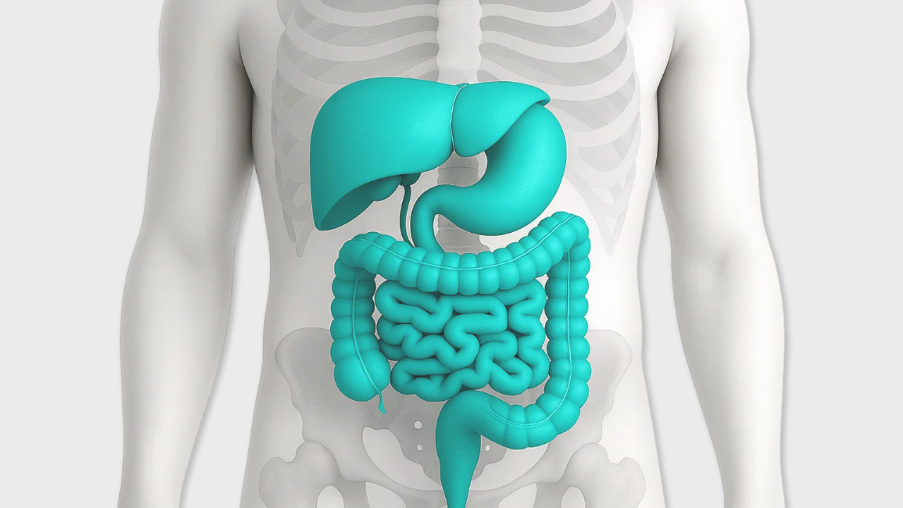 Home - Omec Health Care